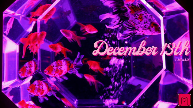 2022年12月13｜田中智咲斗｜coconalaブログ